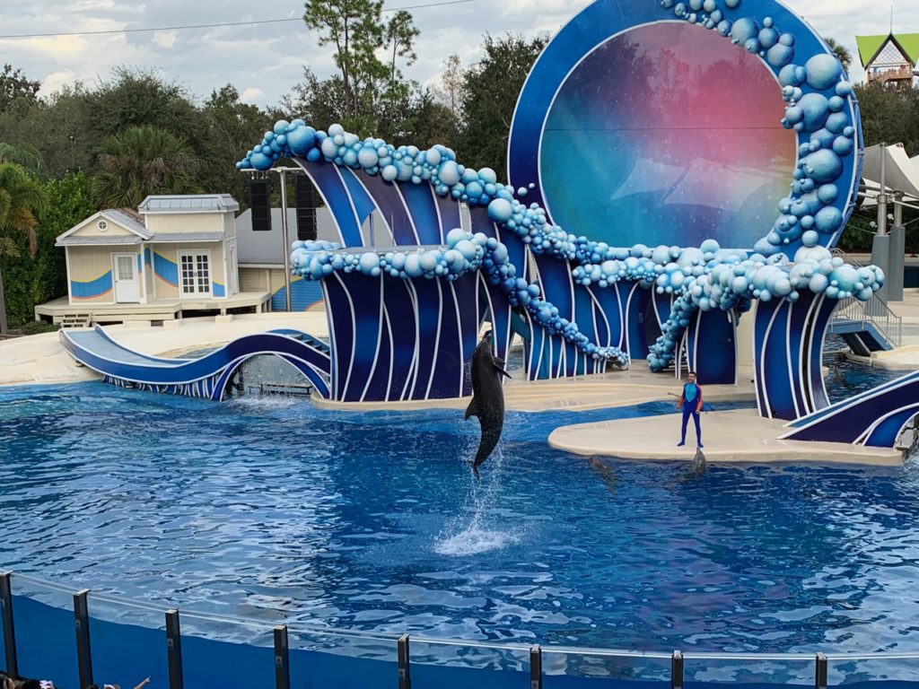 The Amazing Shows of SeaWorld® Orlando! - Key To The World Travel