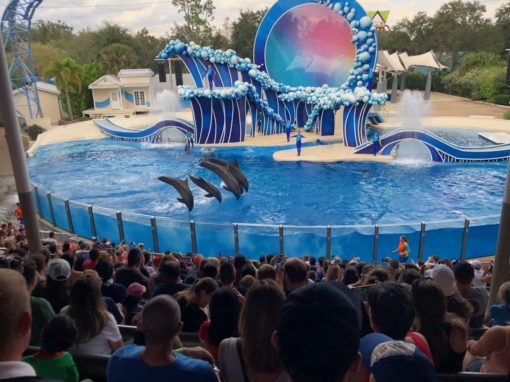 The Amazing Shows of SeaWorld® Orlando! - Key To The World Travel
