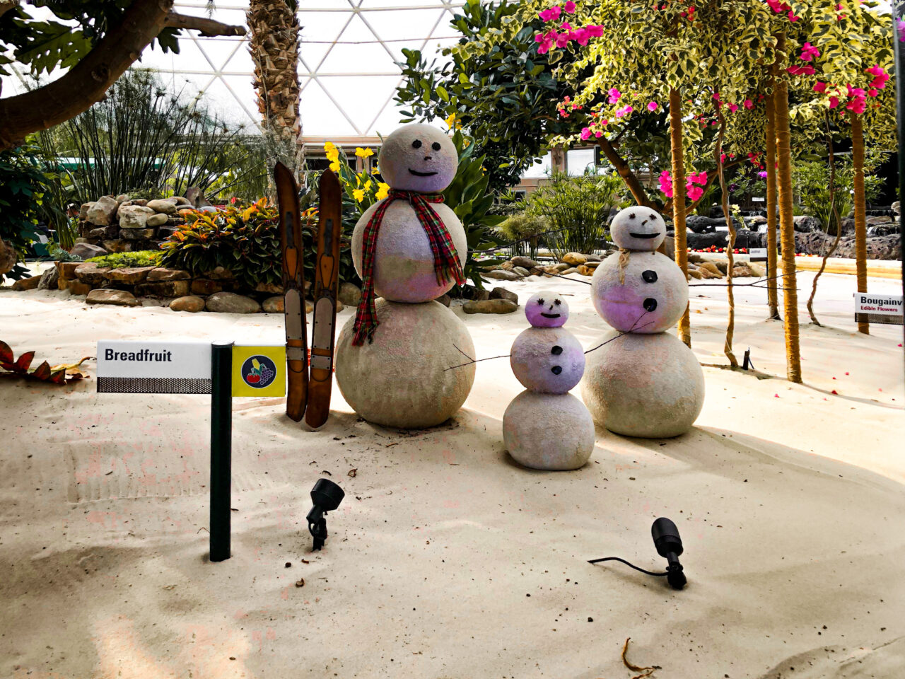 Your Key to EPCOT International Festival of the Holidays - Key To The ...